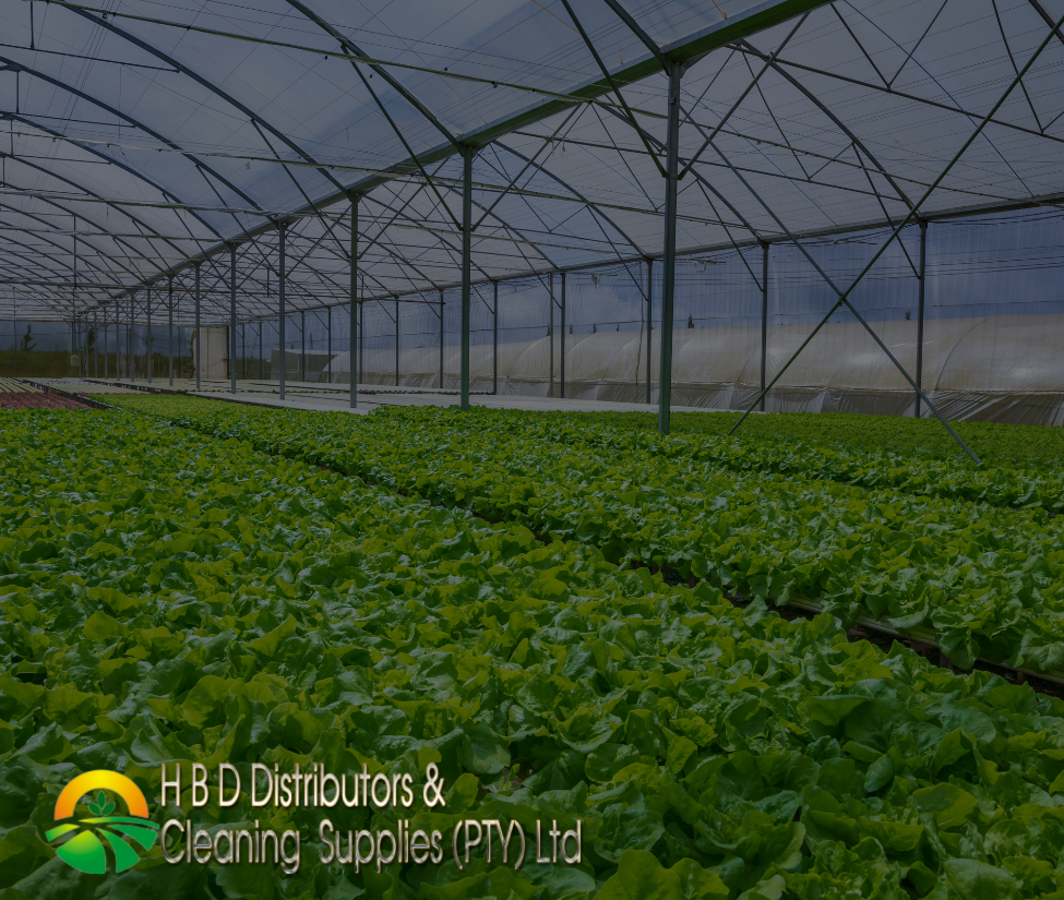 Home - HBD Distributers - HBD Distribution